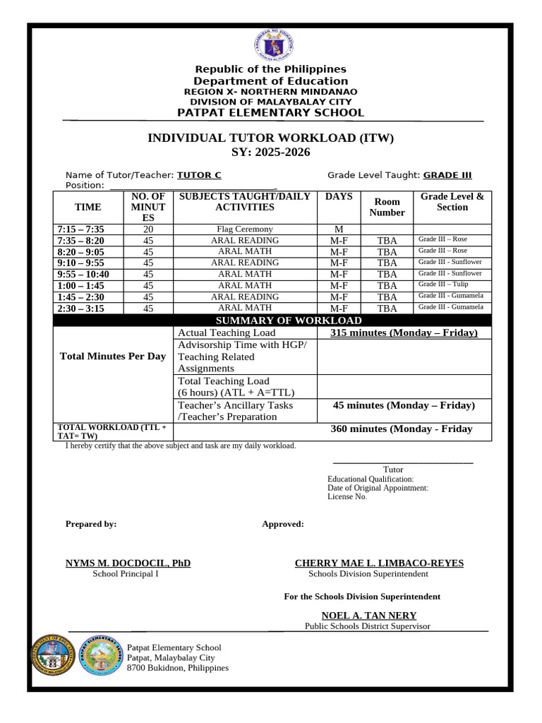 Individual Tutor Workload - Tutor C | PDF