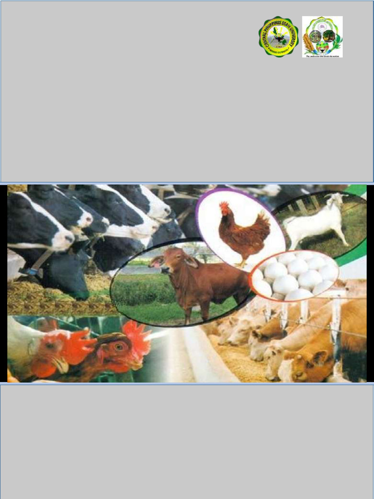 Introduction to Livestock Production | PDF | Cattle | Selective Breeding
