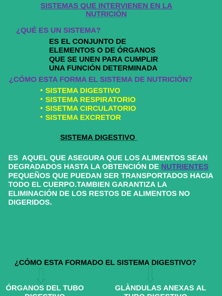 Sistemas Que Interv Nut Clase 2 | PDF | Sistema digestivo humano | Digestión