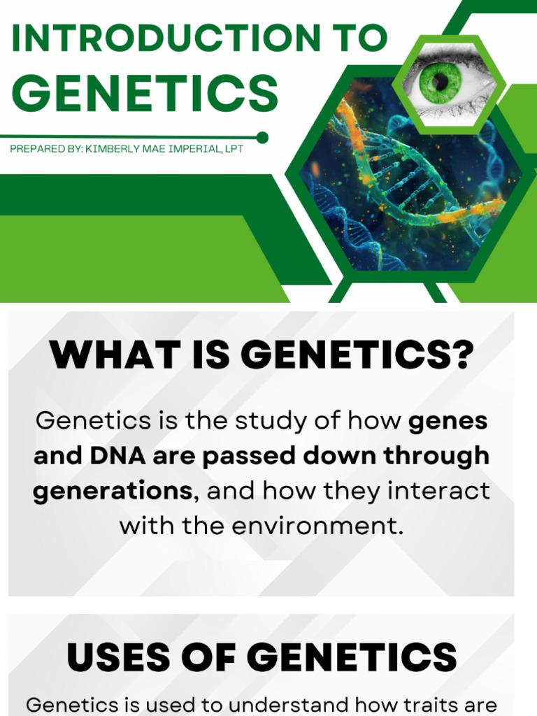 Genetics About Humans | PDF