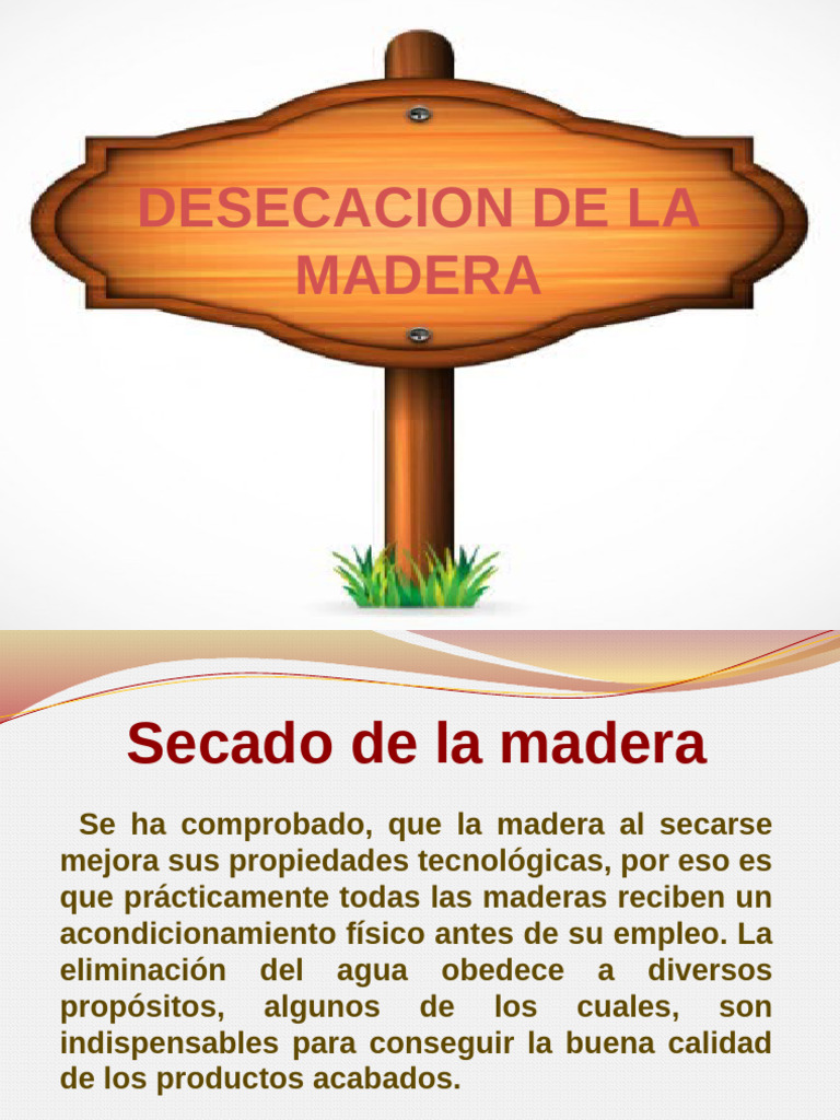 Desecación de la Madera: Proceso y Tipos | PDF | Madera | Agua