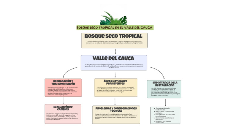 Mapa Conceptual Bosque Seco Tropical | PDF | Los bosques | Agricultura