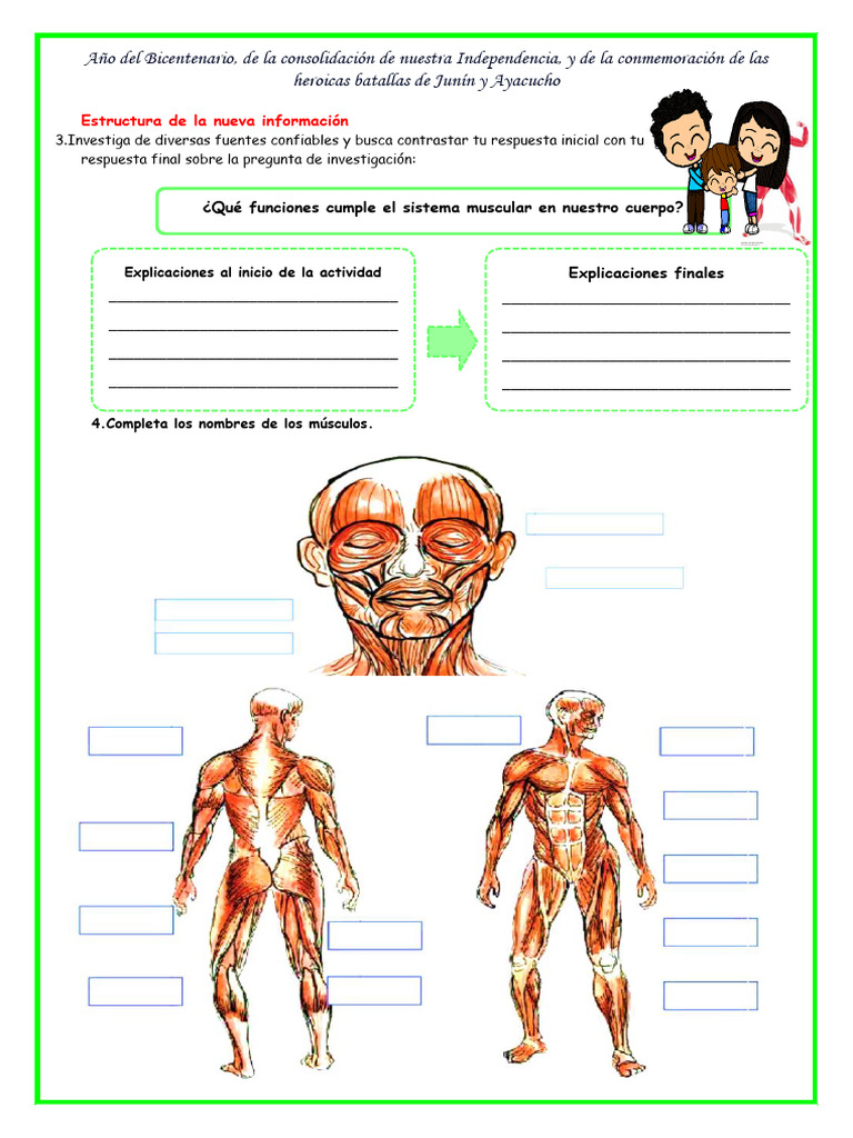 Ficha-Mart-Cyt - Conocemos Nuestro Aparato Locomotor Sistema Muscular | PDF