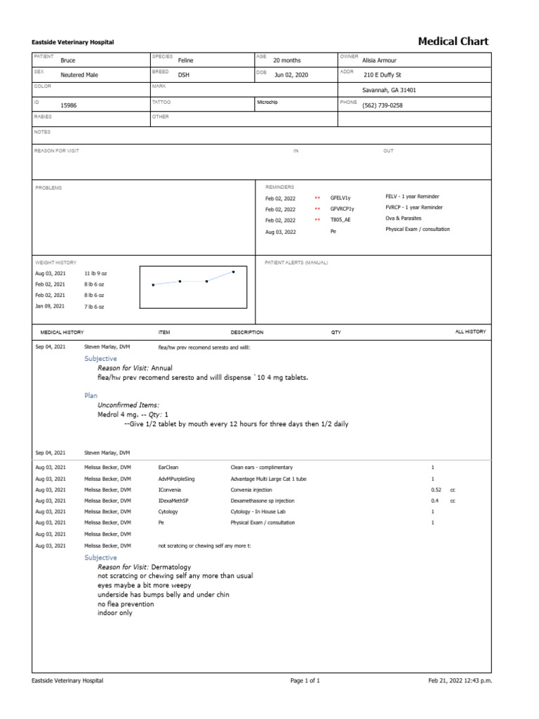 Veterinary Travel Sheet for Feline Patient | PDF | Domesticated Animals ...