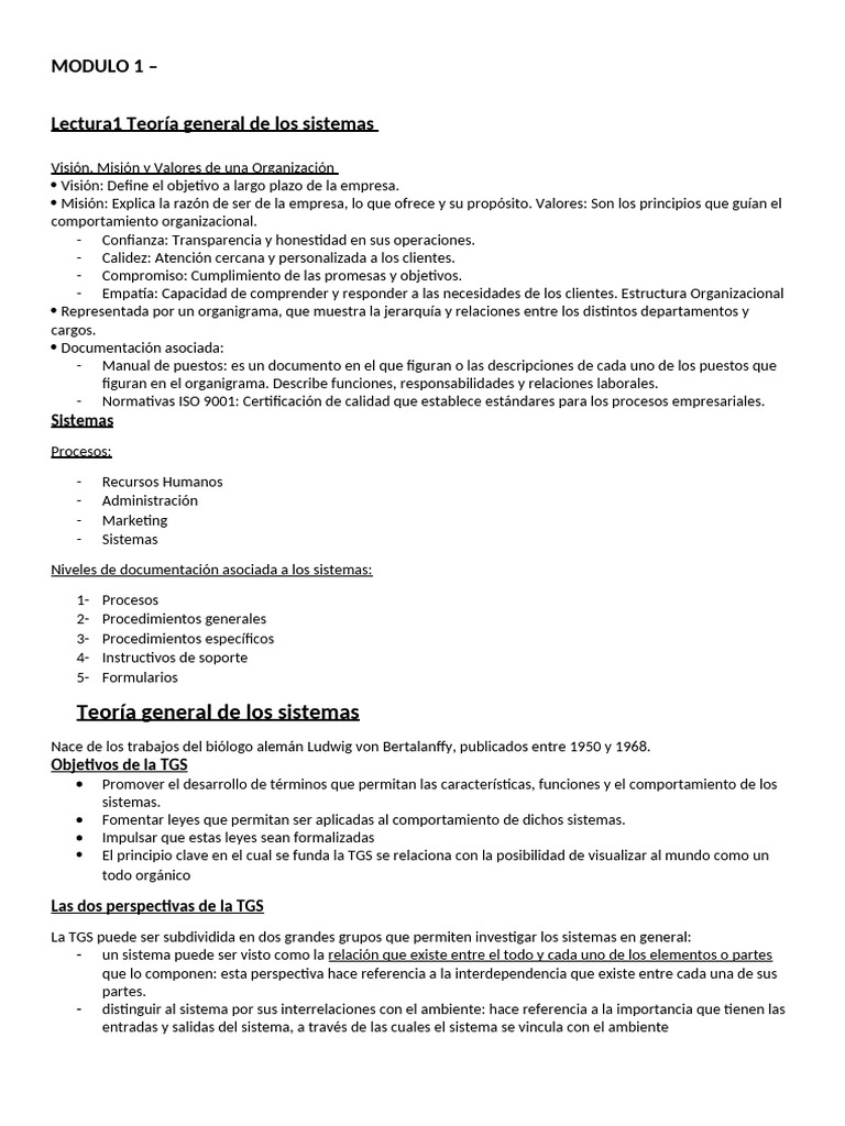 Resumen Modulo 1 Sio | PDF | Sistema | Business