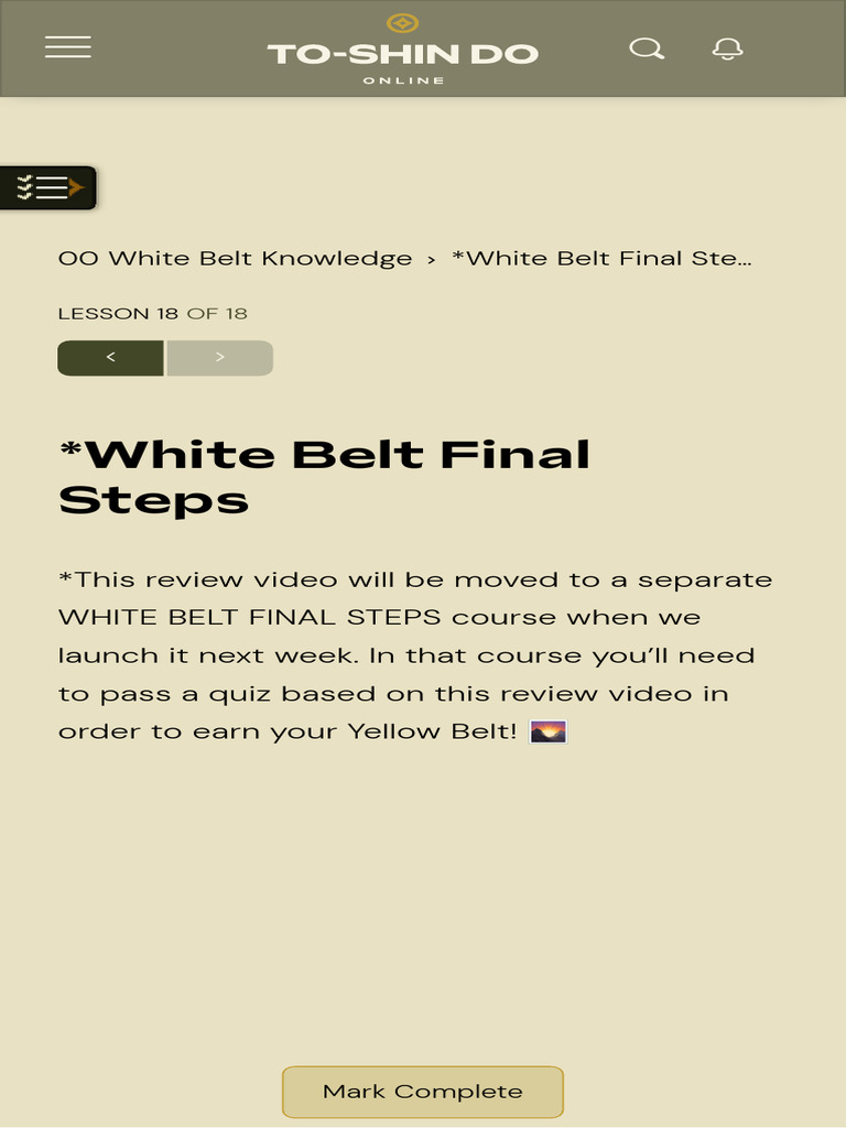 White Belt Final Steps To-Shin Do Online | PDF
