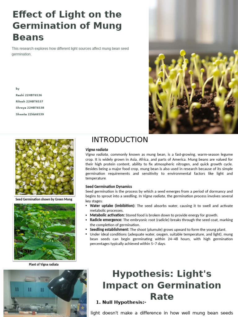 Effect of Continous Light On Seed Germination of Vigna Radiata | PDF ...