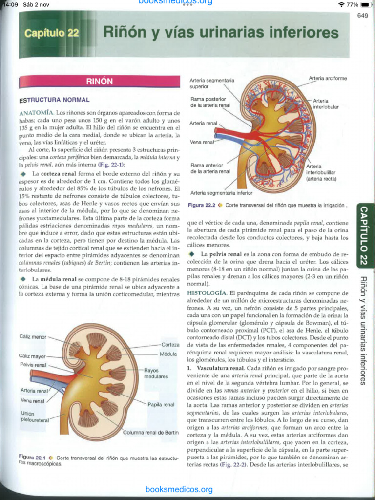 Pdf24 Images Merged | PDF