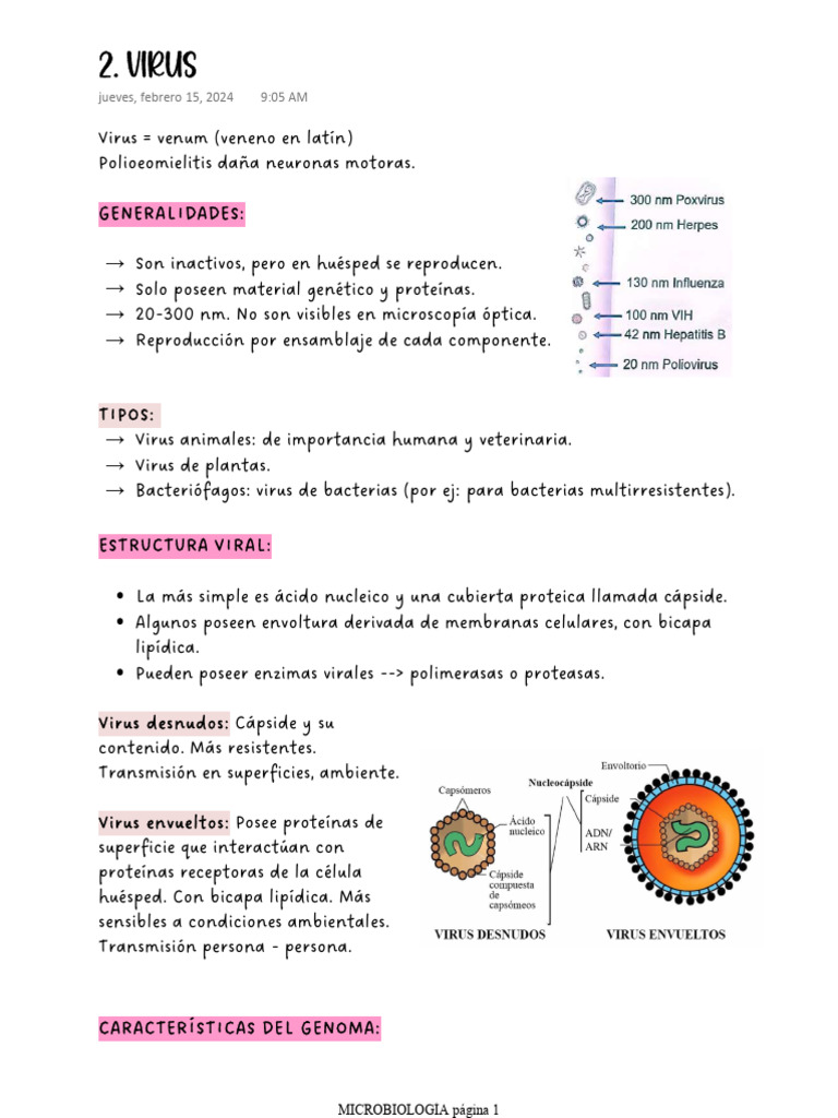 Virus | PDF | Virus | Rna