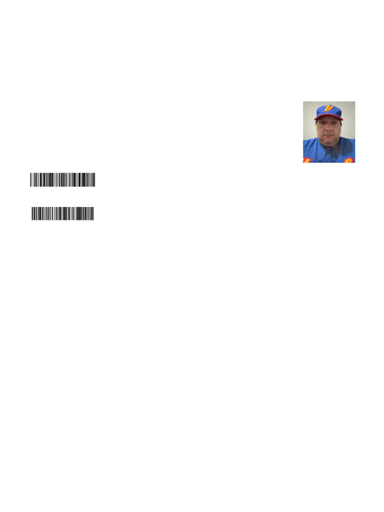 Chicago TNP Chauffeur License Emblem | PDF | Vehicle Registration Plate ...