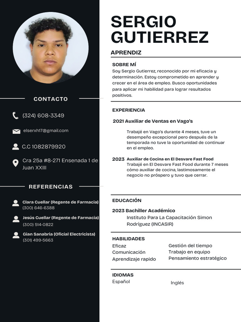 Currículum Vitae Sergio | PDF