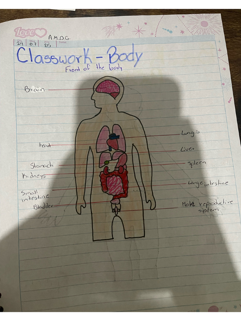 Body Classwork | PDF