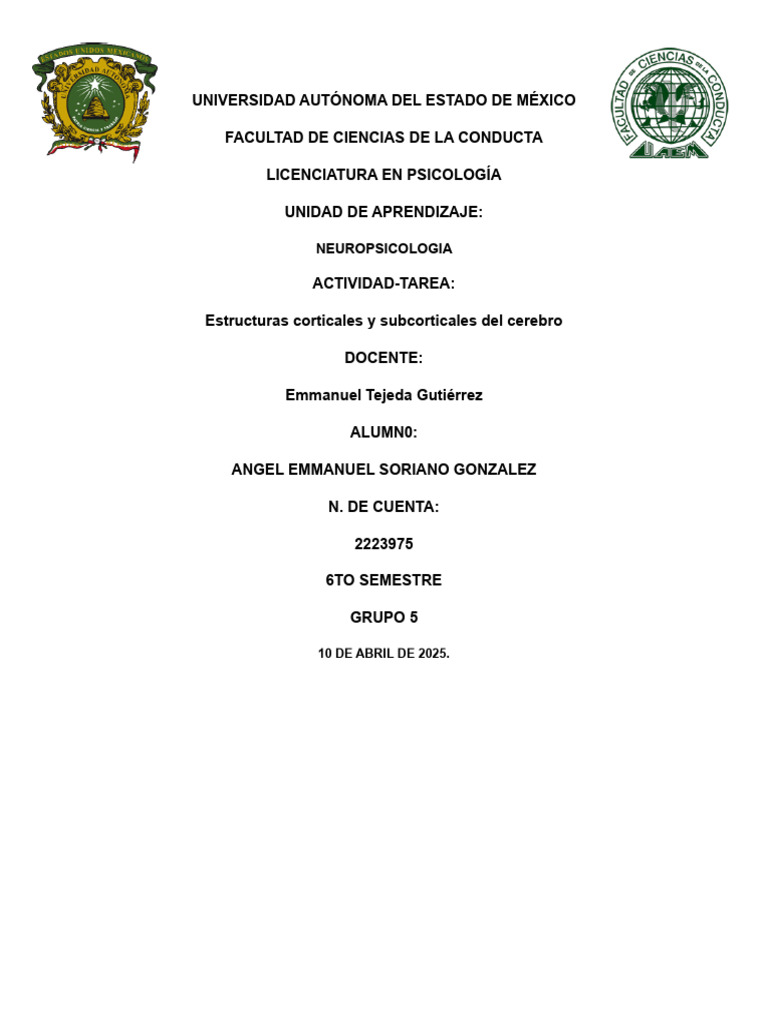 Estructuras Corticales y Subcorticales | PDF | Cerebro | Corteza cerebral