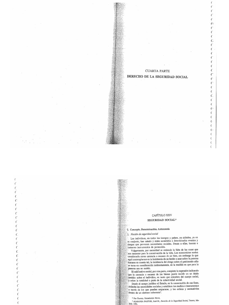 ACKERMAN Seguridad Social | PDF