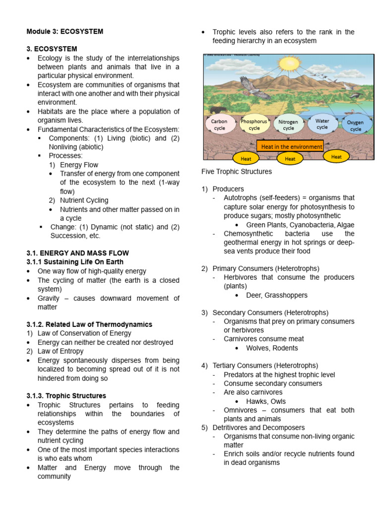 Ecosystem - Environmental Science | PDF | Food Web | Ecosystem
