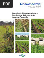 Concorde ICL Brazil | PDF | Agricultura