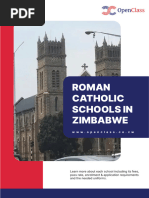 Ecocash Agent Commission Rates 2025 | PDF
