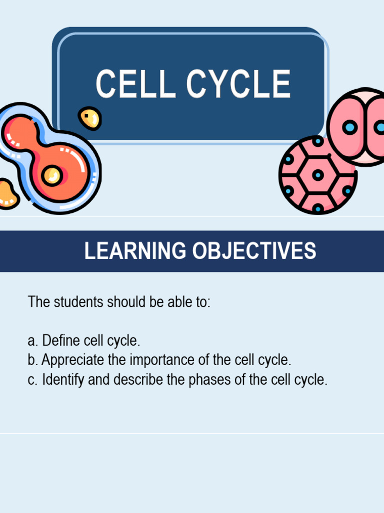 Cell Cycle (1) | PDF | Mitosis | Cell Cycle