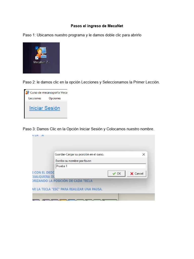 Pasos El Ingreso de MecaNet | PDF