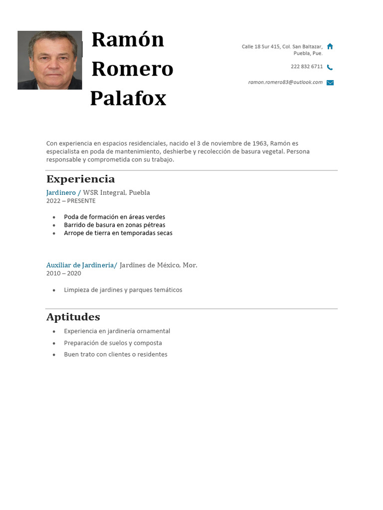 Curriculum Ramón | PDF