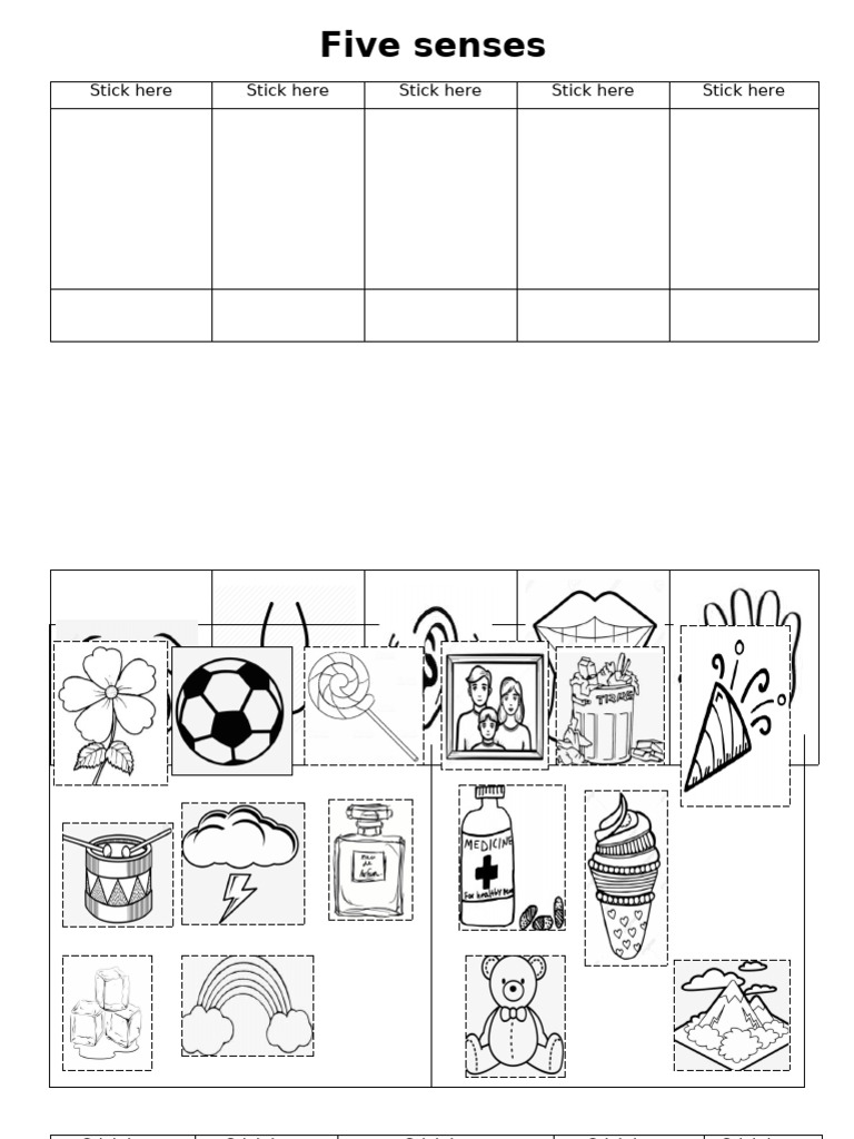 P1 - Five Senses Project | PDF