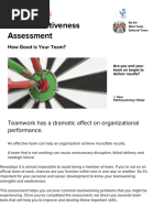 Belbin Questionnaire | PDF