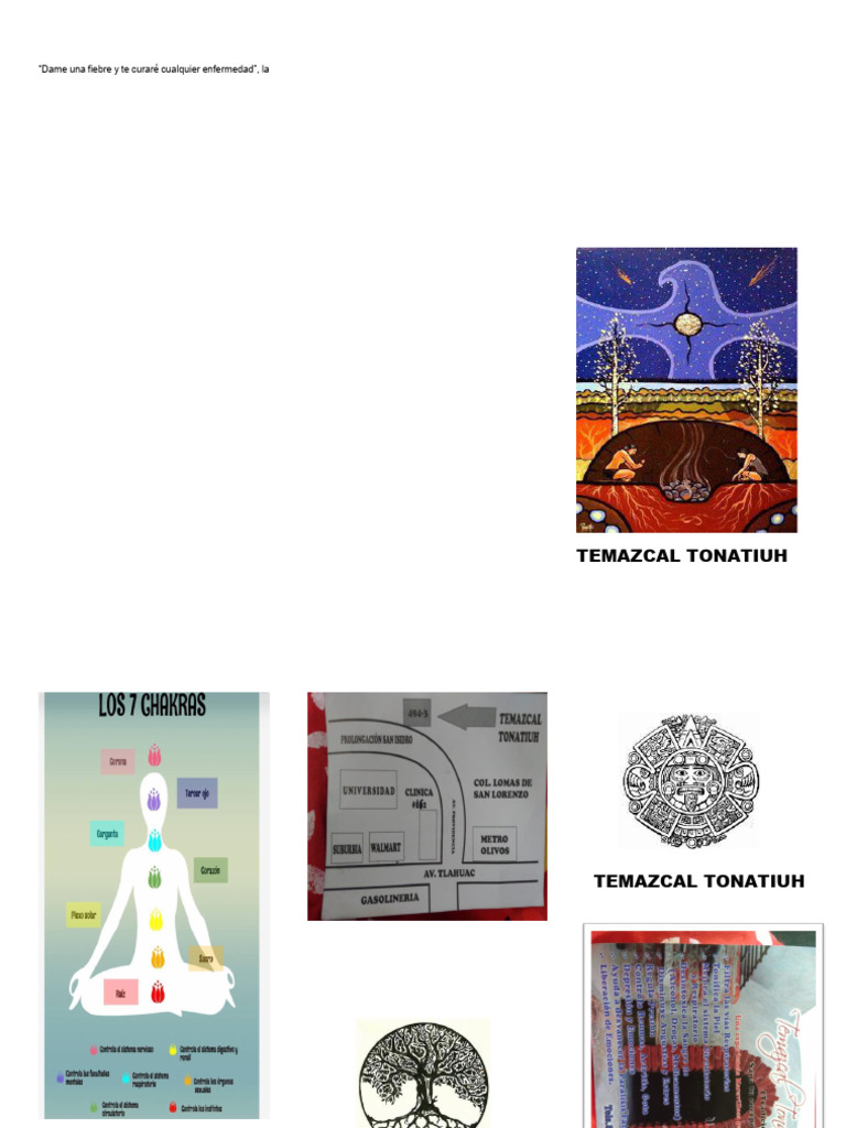 PARÁ QUE SIRVE EL TEMAZCA TRIPTICO 2 | PDF | Sangre | Músculo