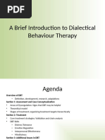 DBT Hierarchy of Treatment Targets | PDF