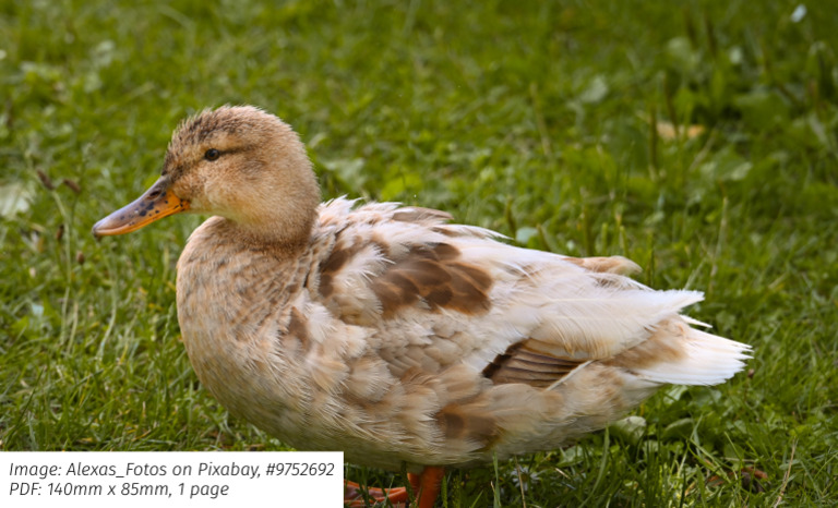 20250808_Thing_13 | PDF