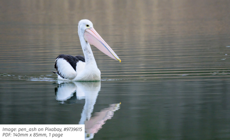 20250808_Thing_12 | PDF