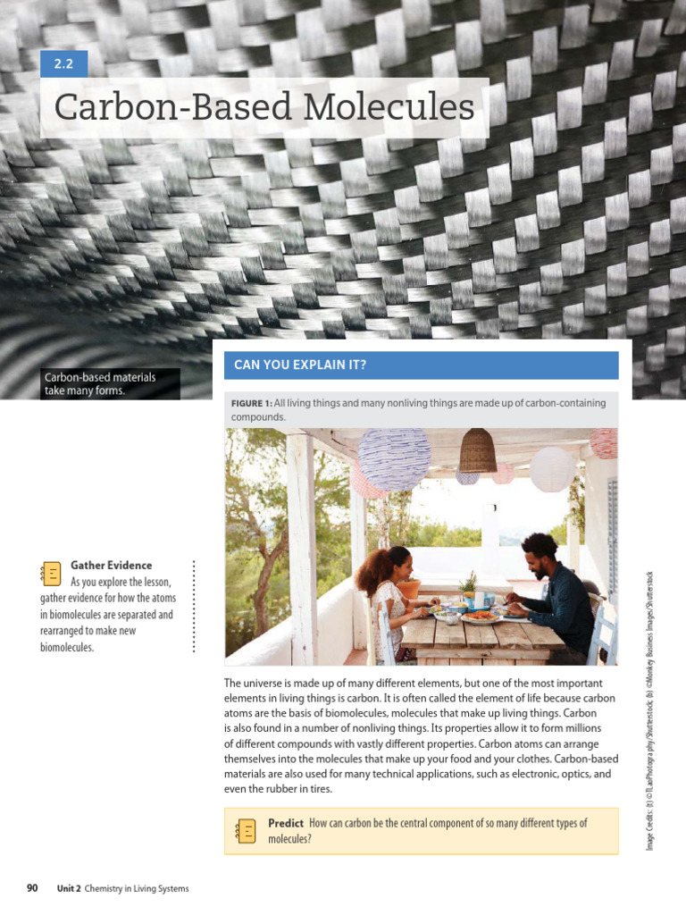 Unit 2 Lesson 2 Carbon Based Molecules | PDF | Carbohydrates | Nucleic ...