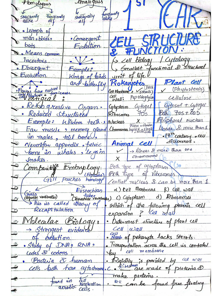 1st Year Bio Notes | PDF
