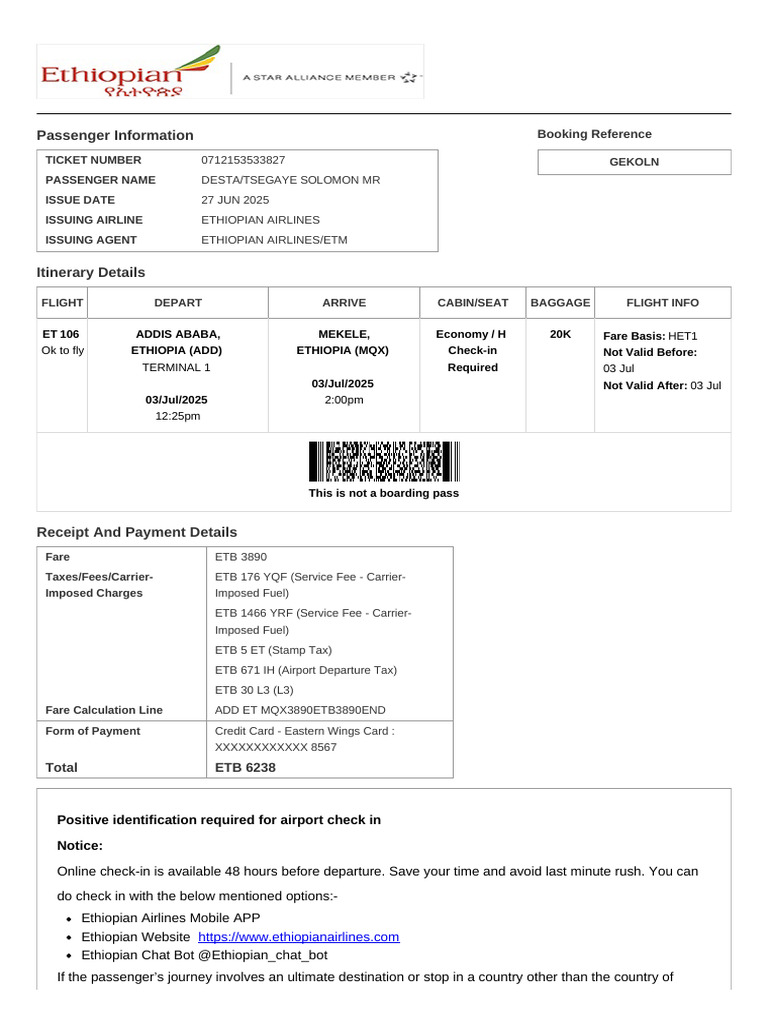 Electronic Ticket Receipt, July 03 For MR TSEGAYE SOLOMON DESTA | PDF ...