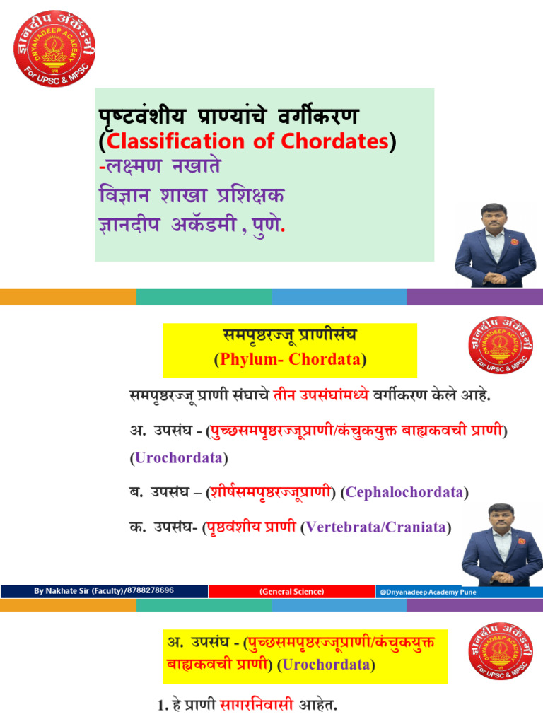 Classification of Chordates | PDF