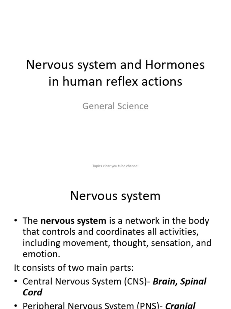 Nervous System and Hormones in Human Reflex Actions | PDF | Central ...