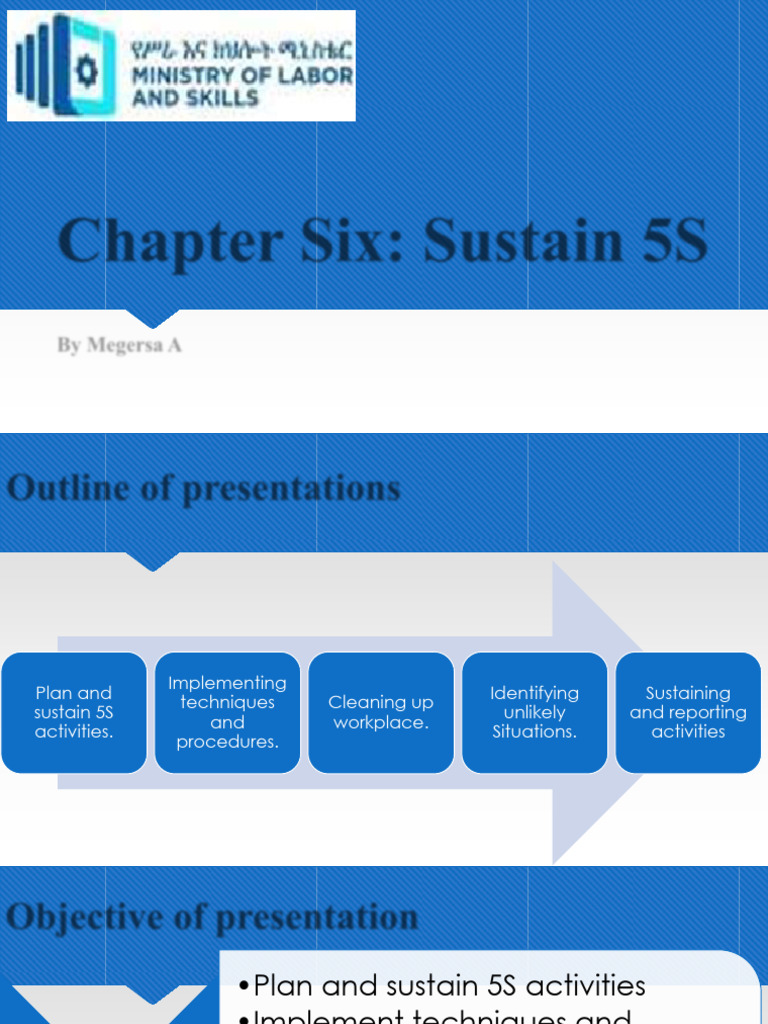 Apply 5s Procedure Chapter 6 | PDF | Business