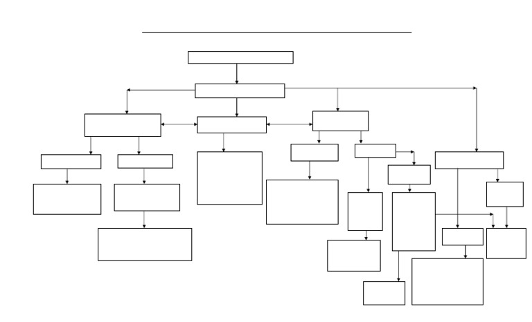 Organogram of College | PDF