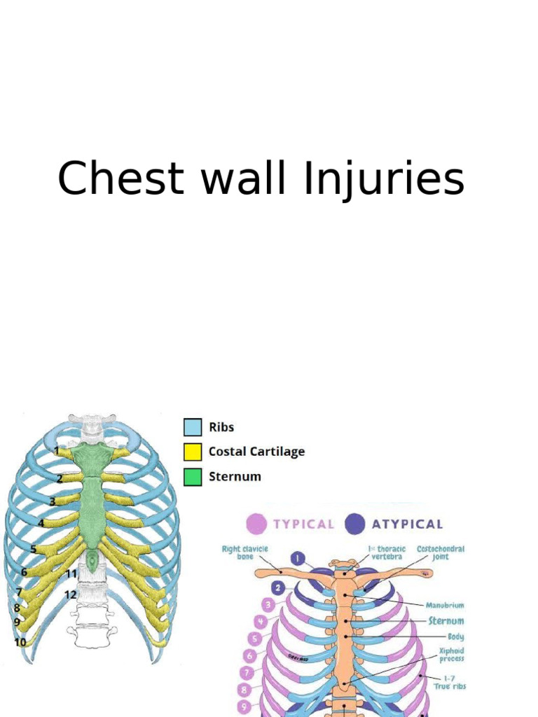 Chest Wall Injuries1 | PDF | Thorax | Respiratory Diseases
