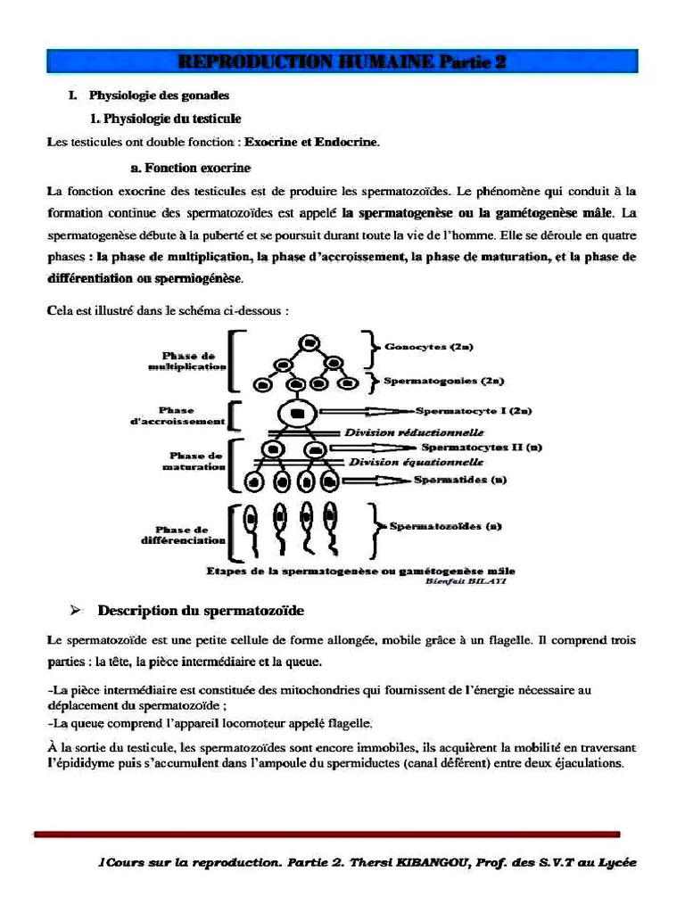 Reproduction Humaine | PDF