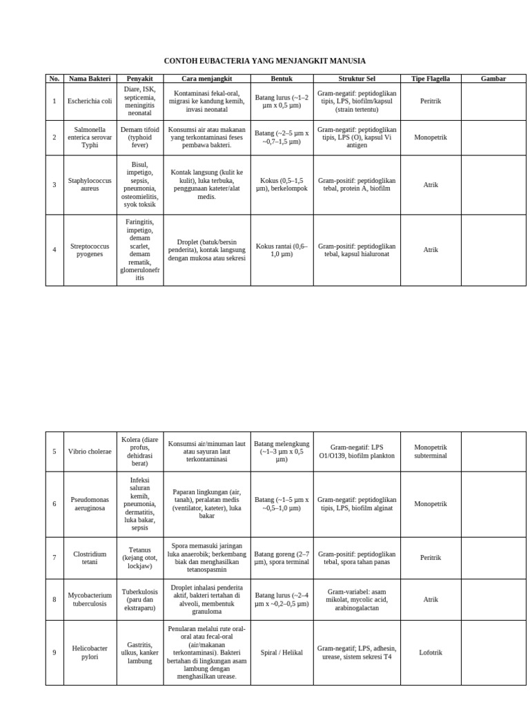 Contoh Eubacteria Penyebab Penyakit | PDF