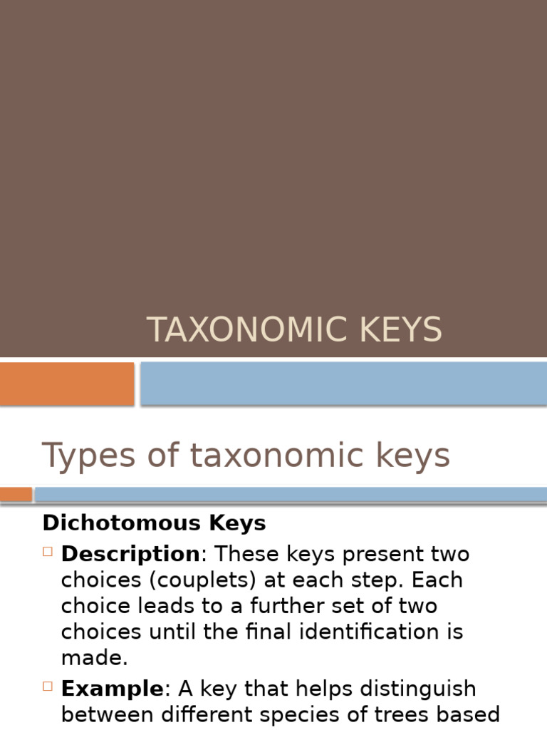 Types of Taxonomic Keys Explained | PDF