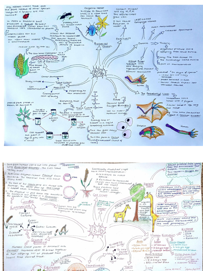 Bio Mind Maps - Merged | PDF