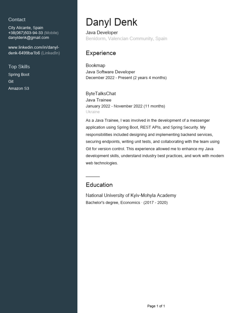 Java Developer Profile: Danyl Denk | PDF