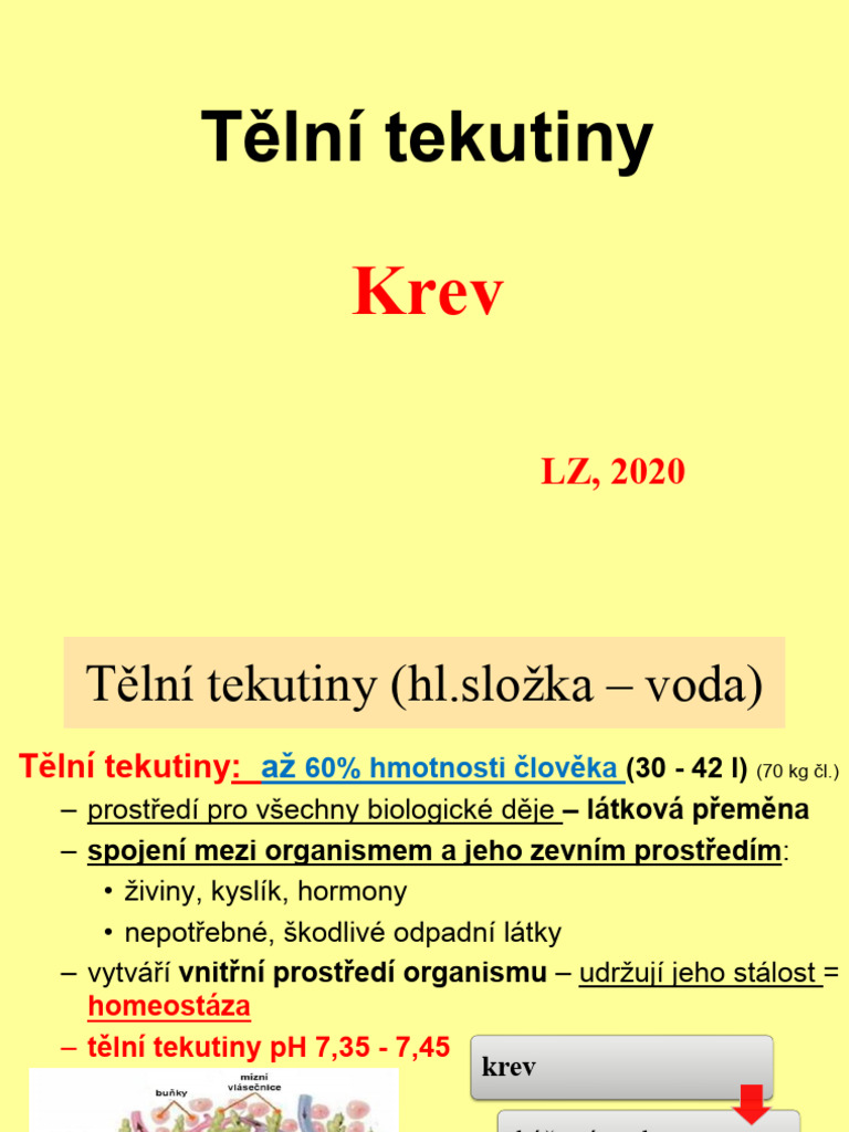 Flashcard Set - Edit Knowt | PDF