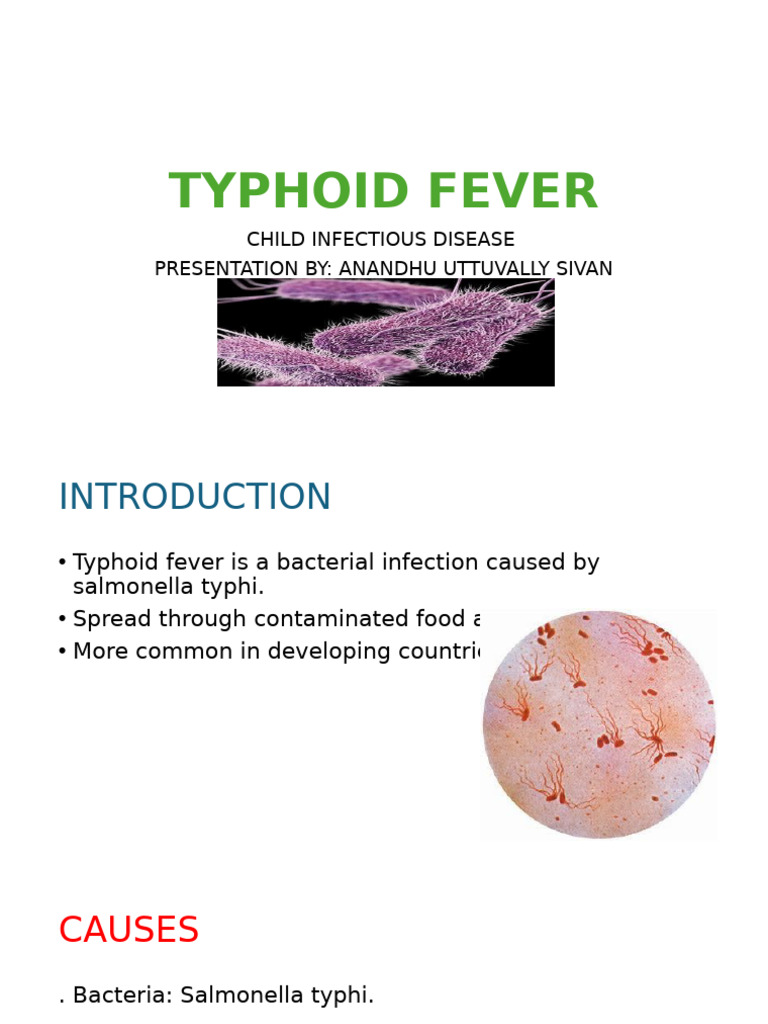 Overview of Typhoid Fever Causes | PDF