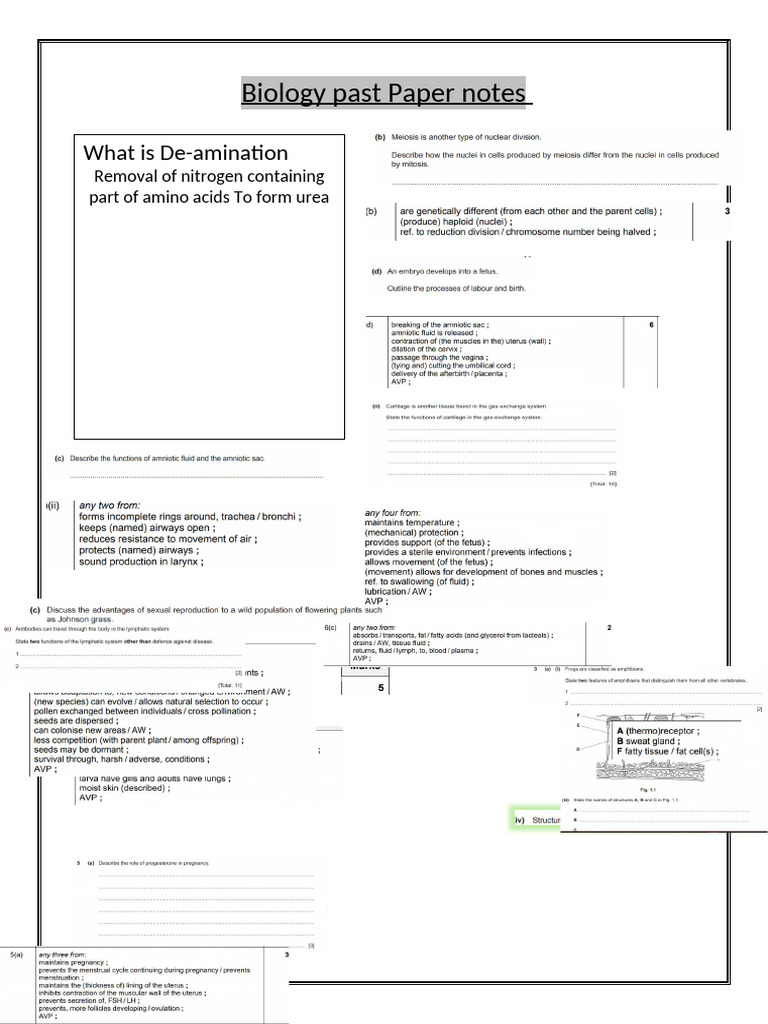 Biology Past Paper Notes | PDF