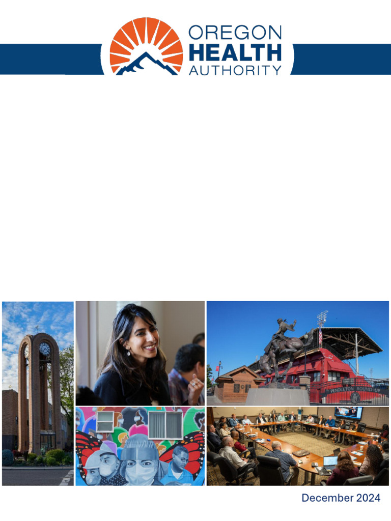 OHA Director's 2024 Listening Tour Report | PDF | Doula | Sexually ...