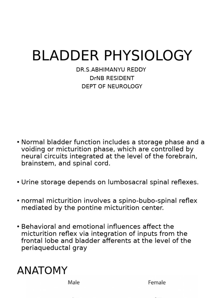 Bladder Control and Physiology | PDF | Urination | Urinary Incontinence