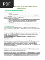 Triada de Cushing y su Fisiopatología | PDF | Hipertensión | Anatomía ...
