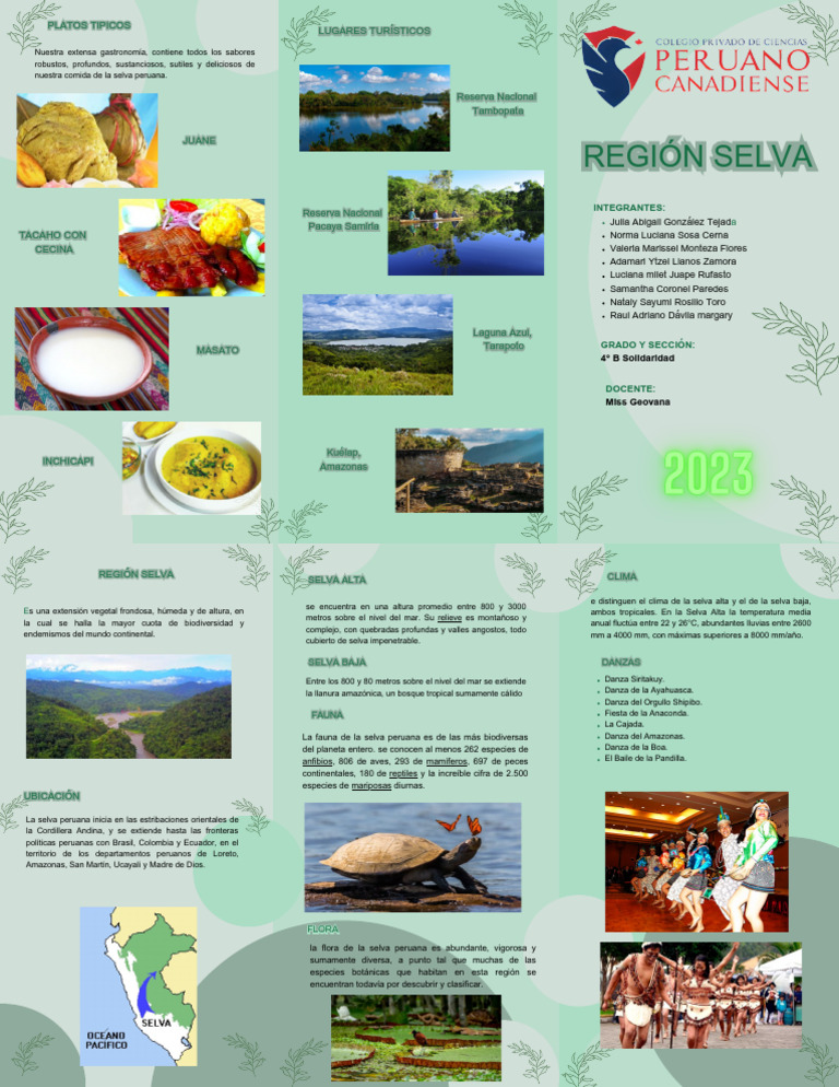 Biodiversidad y Cultura de la Selva Peruana | PDF | Selva | Perú